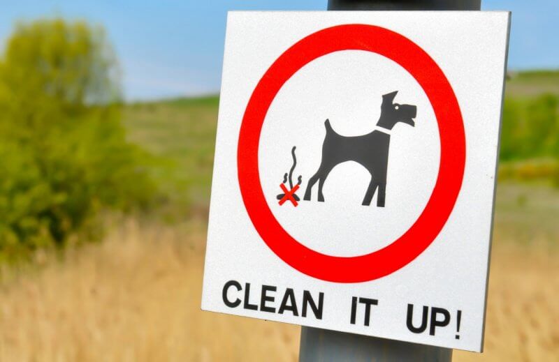 Latest plan to deal with dog fouling - The Fermanagh Herald