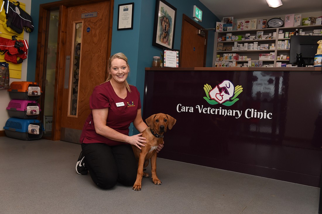 2019 - Nominees - Business Excellence Award - The Fermanagh Herald