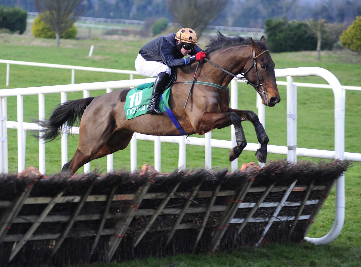 Cheltenham is the dream for jockey Ryan Treacy - The Fermanagh Herald