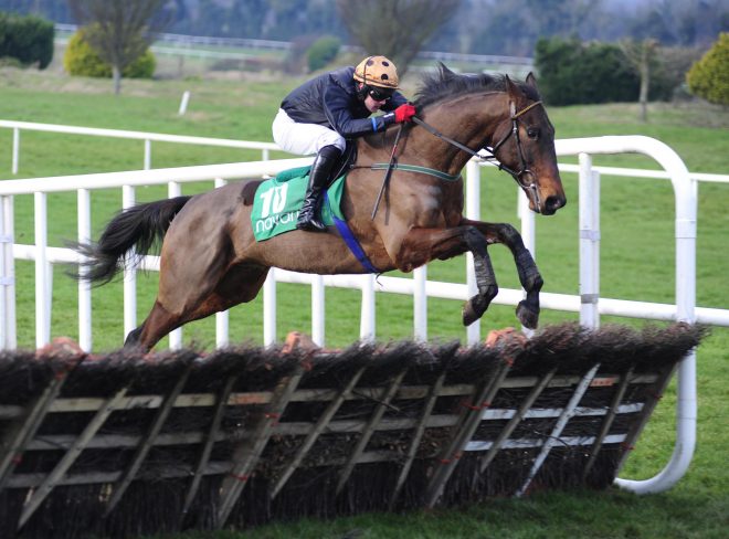 Cheltenham is the dream for jockey Ryan Treacy - The Fermanagh Herald