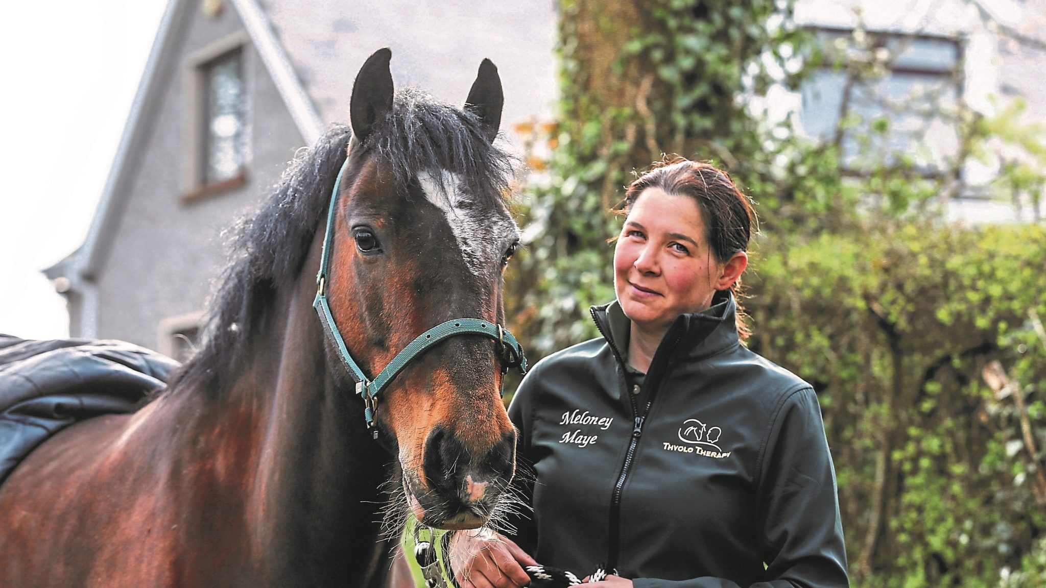 Horses aiding Ballinamallard therapist - The Fermanagh Herald
