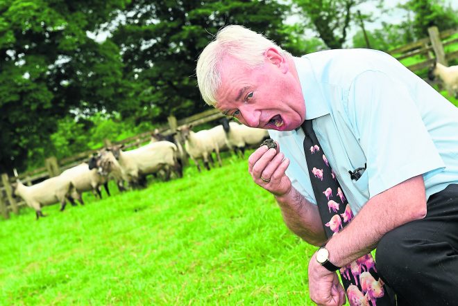 Irvinestown festival has Joe spitting dung with joy! - The Fermanagh Herald