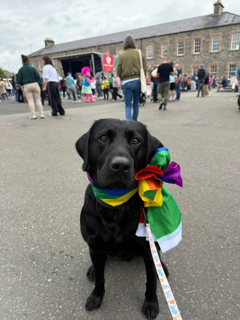 Enniskillen turns rainbow for Fermanagh Pride - The Fermanagh Herald