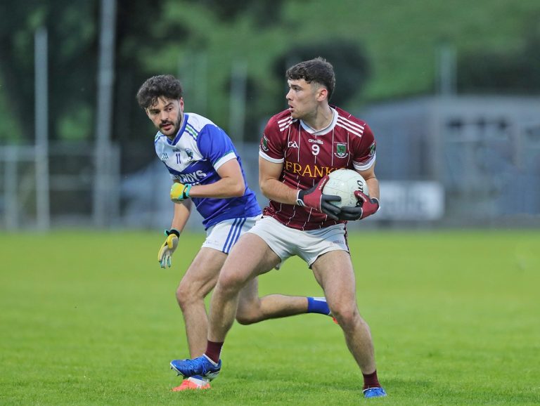 Bogue brothers clinch late win for Tempo - The Fermanagh Herald