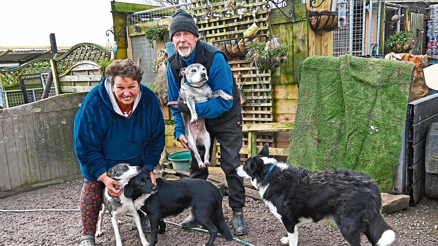 あおいれな 乙花イブ 固定バイブでだるまさんが転んだ！耐えきれずまんこ決壊して潮吹き！